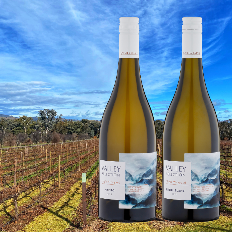 Shop Taster Packs - Gapsted Estate