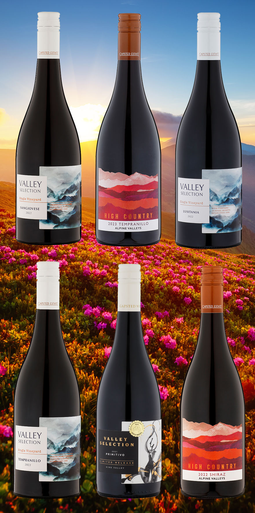 Shop Taster Packs - Gapsted Estate